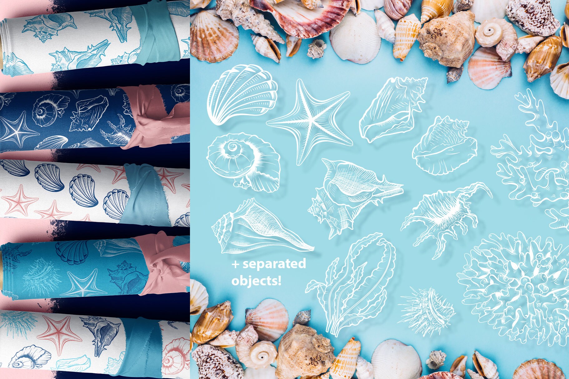 Seashell SVG and Seamless Patterns Vector Design Elements - Etsy