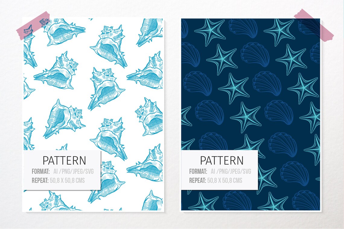 Seashell SVG and Seamless Patterns Vector Design Elements | Etsy