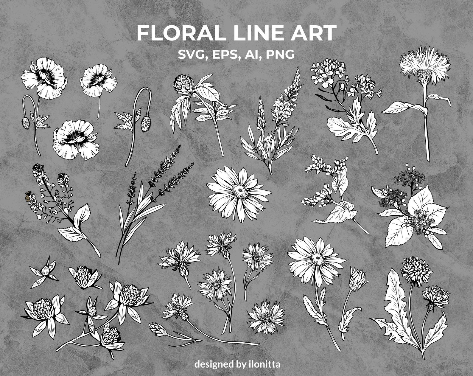 Floral Line Clip Art Botanical Clipart Hand Drawn Line Art - Etsy