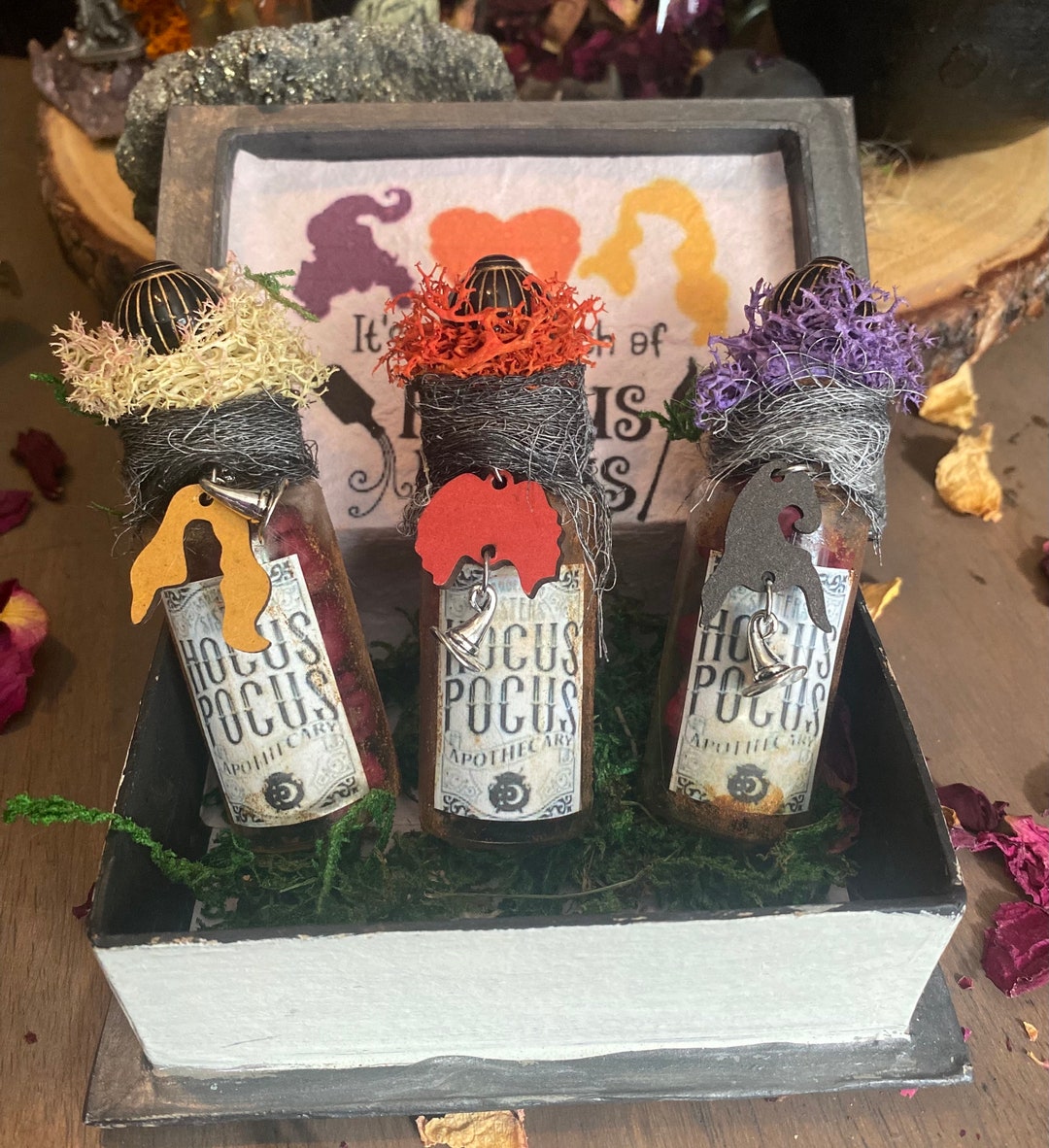 Hocus Pocus Potion Mini Bottle Set Sanderson Sisters Winifred, Mary ...