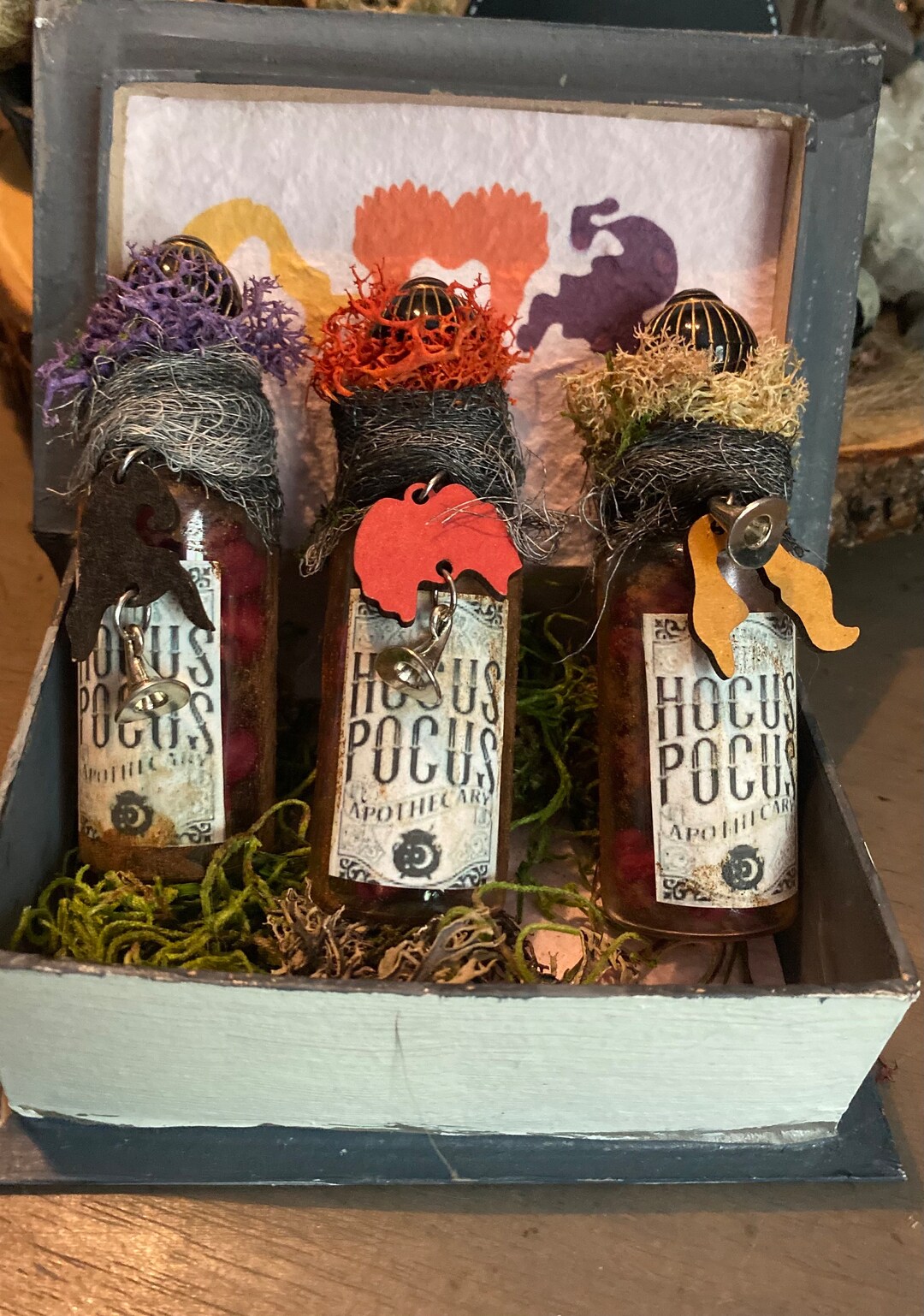 Hocus Pocus Potion Mini Bottle Set Sanderson Sisters Winifred, Mary ...