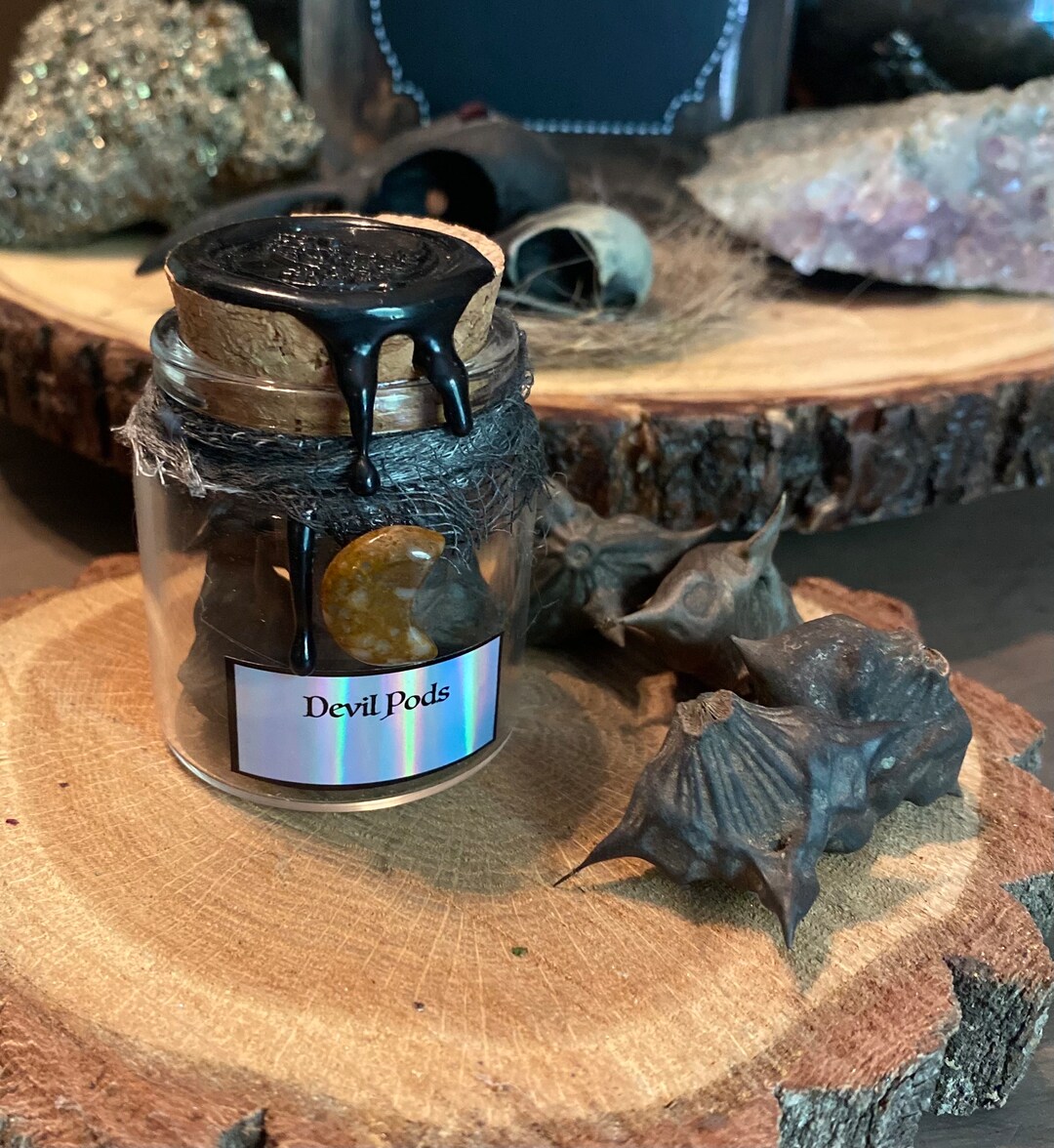 Devil Pods/nuts Protection Altar Ritual Witch Witchcraft Wicca Spell ...