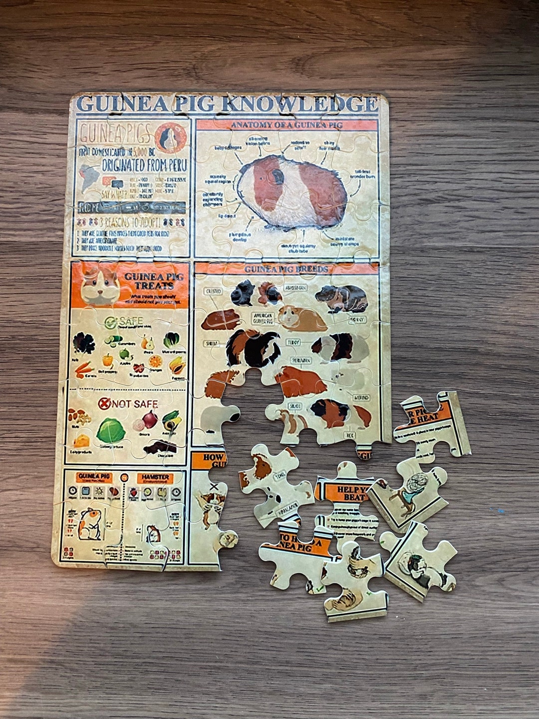 Guinea Pig Knowledge Jigsaw Puzzle Piggy Lover Gift - Etsy