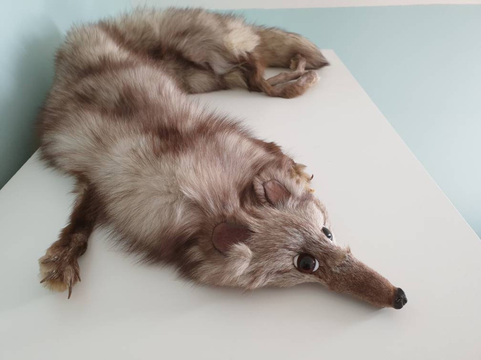 Fox Stole Fox Wrap Gray Fox Winter Neck Fur Stole - Etsy