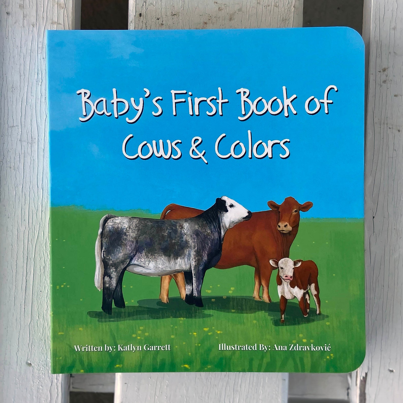 Baby's First Book of Cows & Colors - Etsy