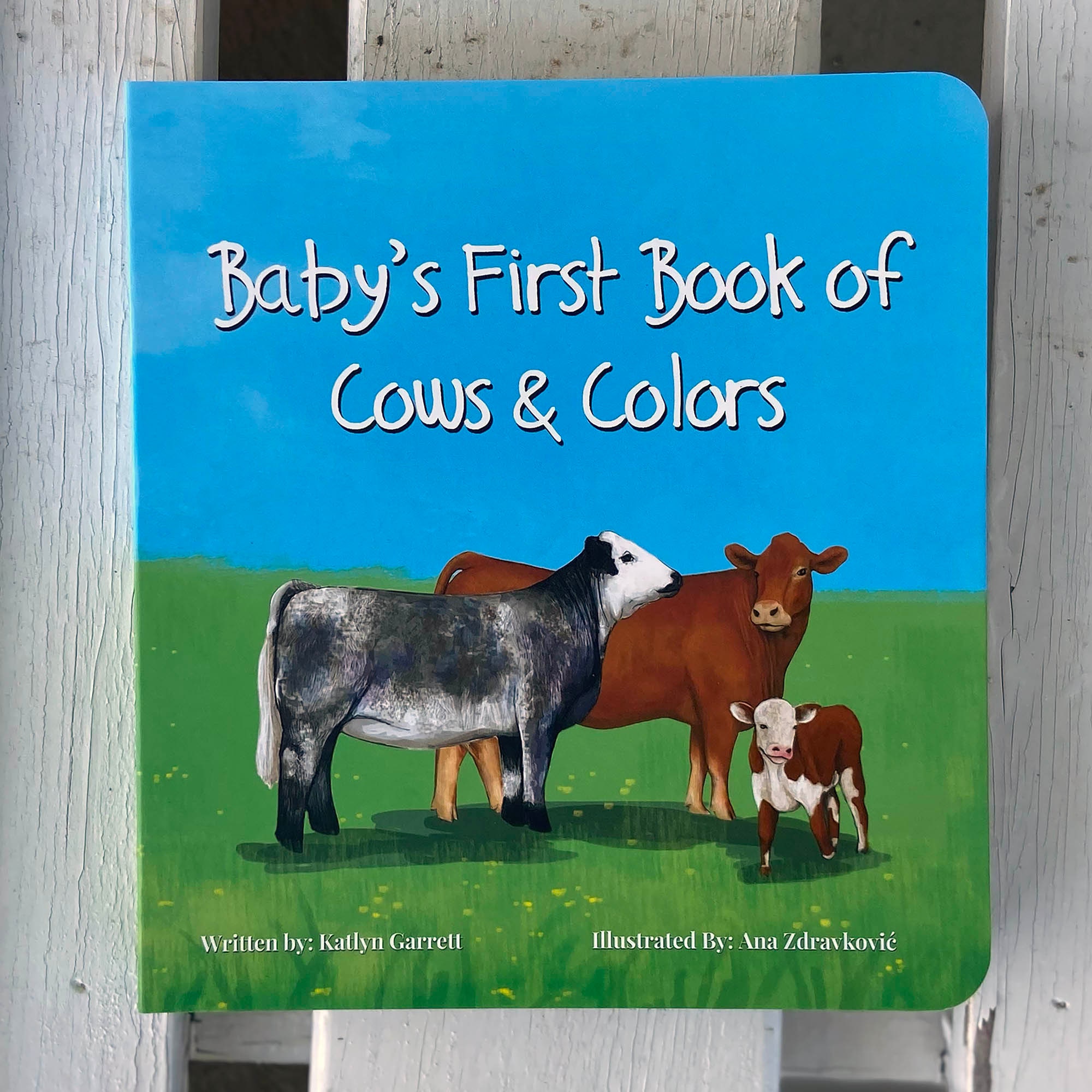 Baby's First Book of Cows & Colors - Etsy