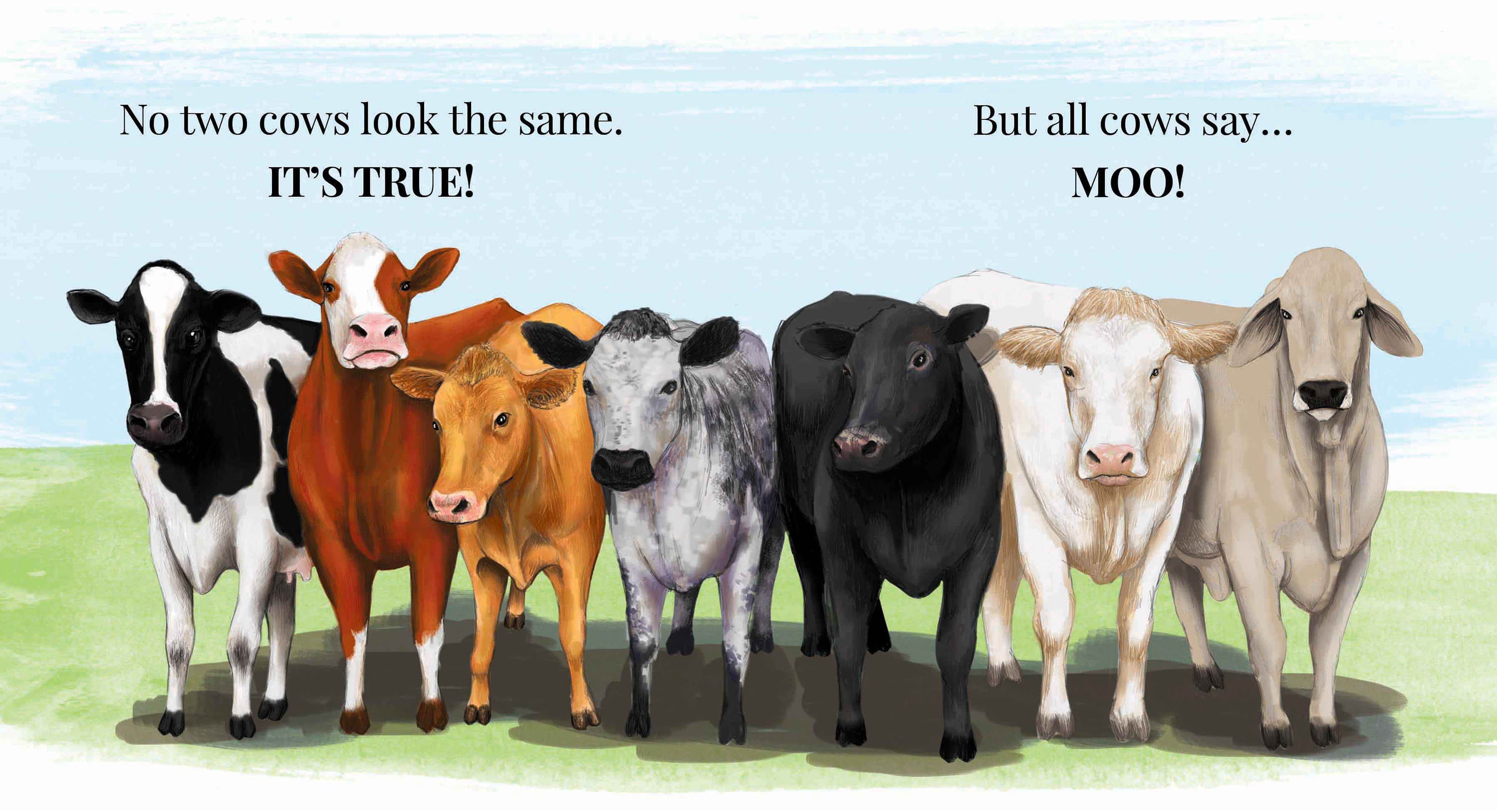 Baby's First Book of Cows & Colors - Etsy