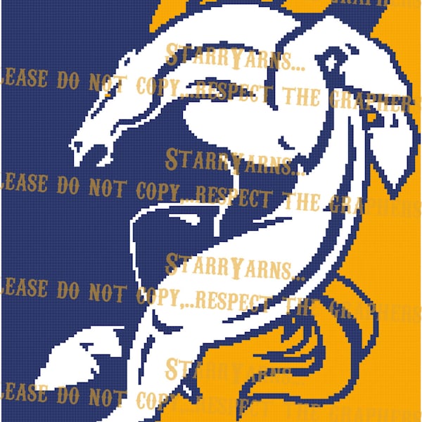 Broncos Crochet - Etsy