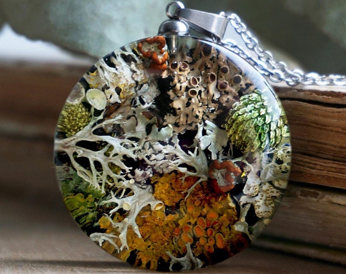 Forest Pendant With Various Types of Lichens Inside. Genuine Moss and ...