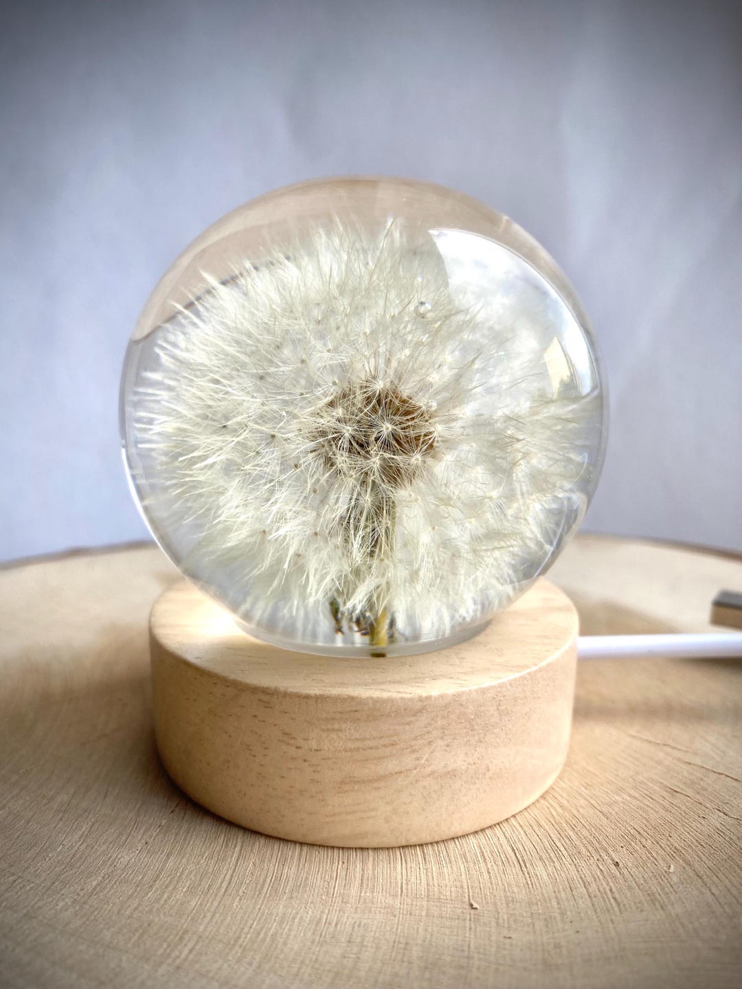 Genuine Dandelion Resin Sphere - Nightlight With Real Dried Fluffy ...