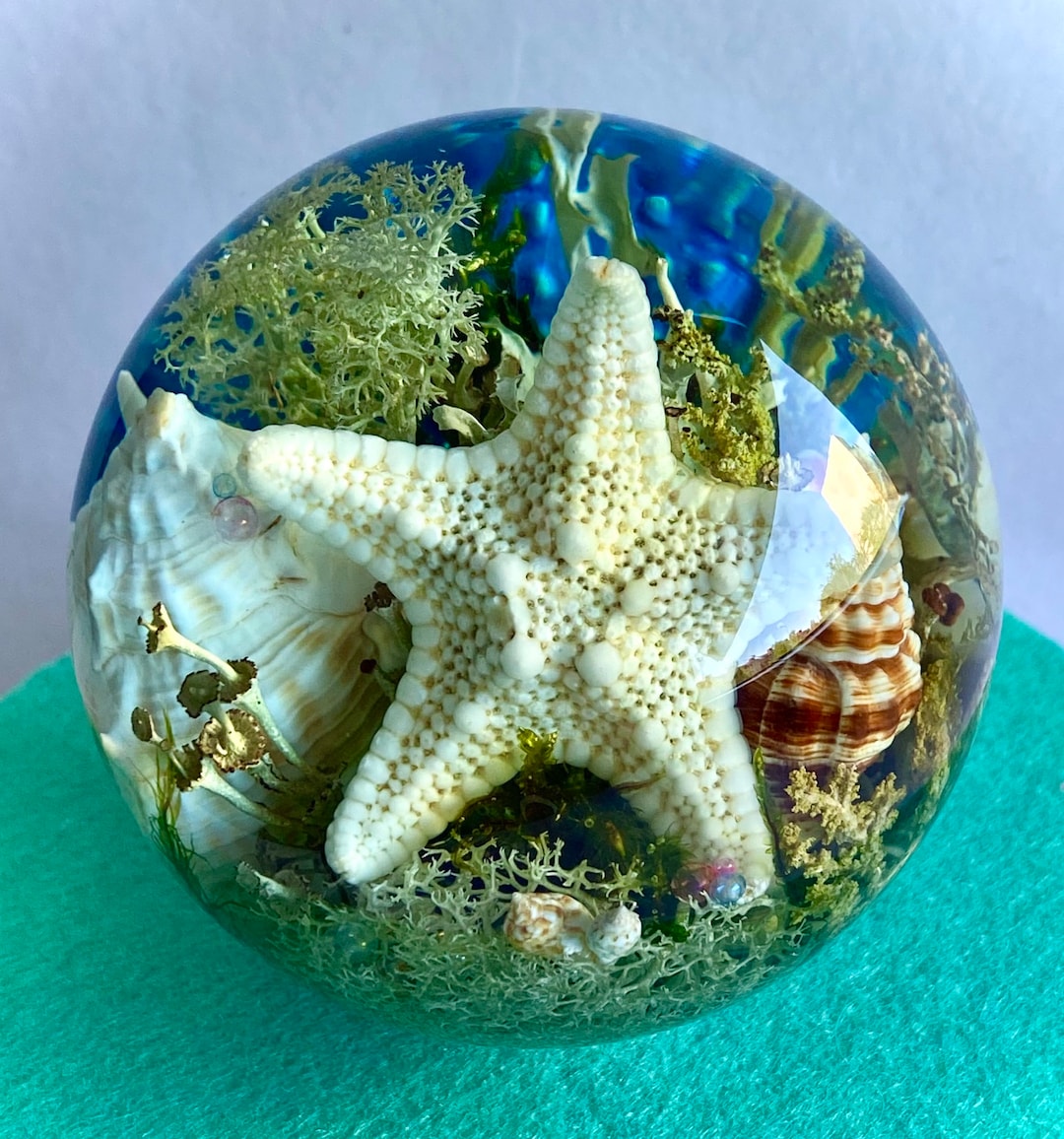Large Resin Sphere Nightlight With Genuine Dried Sea Shells and ...