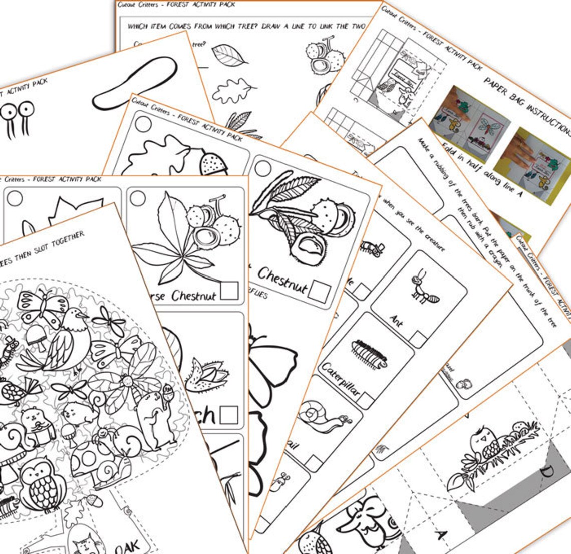 FOREST Activity Digital Download , Template Download, Activity Sheets ...