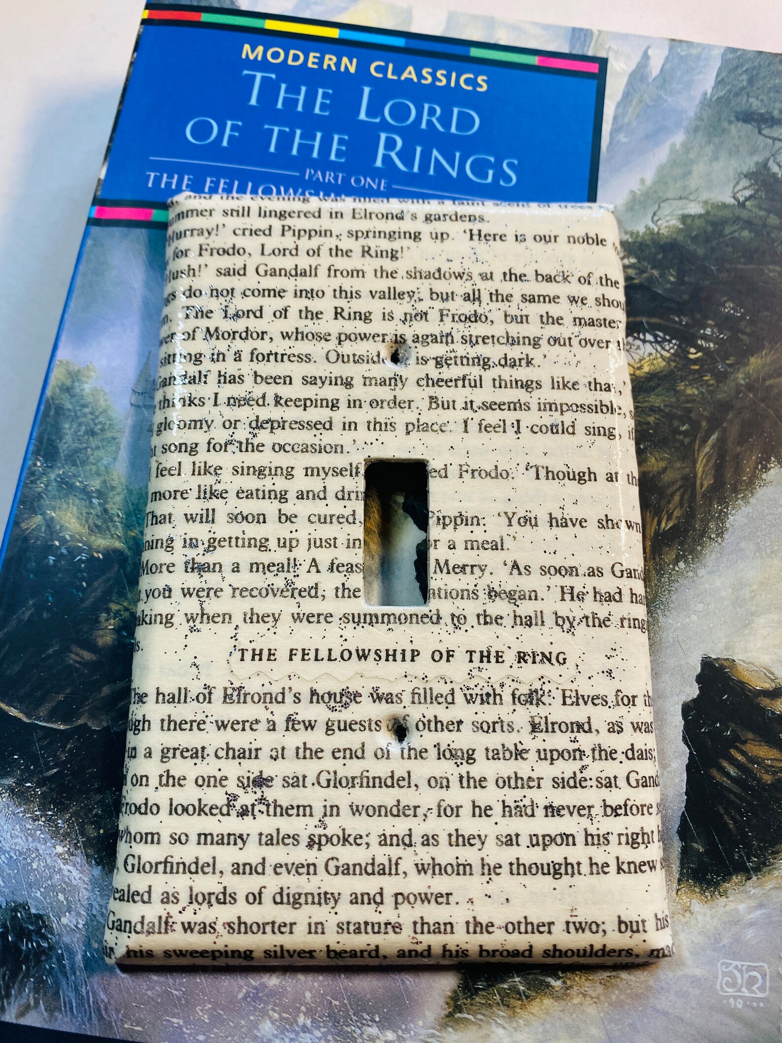 Book Page Wall Light Switch Plate Light Switch Cover Home - Etsy