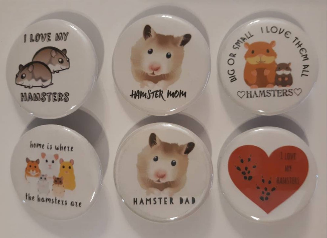 Hamster Hamsters Badge Button Pin Set of 6 - Etsy