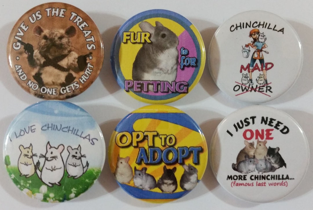 Chinchilla Activism Badge Button Pin Set of 6 - Etsy