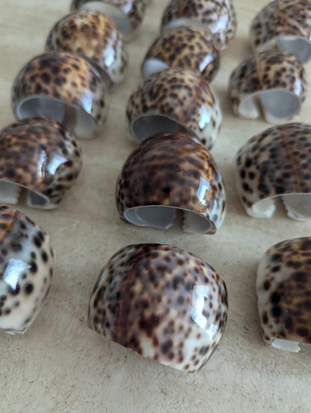 16 Tiger Leopard Cowrie Shell Napkin Rings Free Shipping - Etsy