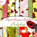 Ladybug Digital Paper, Ladybug Patterns, Bug Papers, Daisy Paper ...