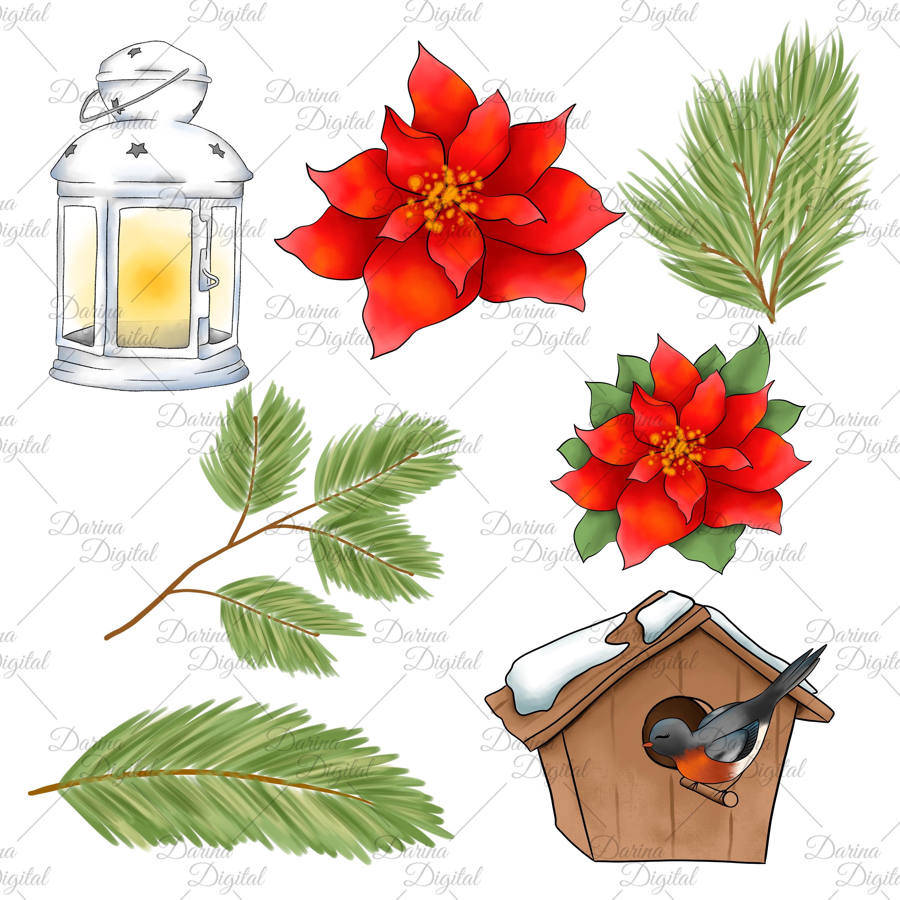 Bird Clipart Christmas Clipart Winter Clipart Christmas | Etsy