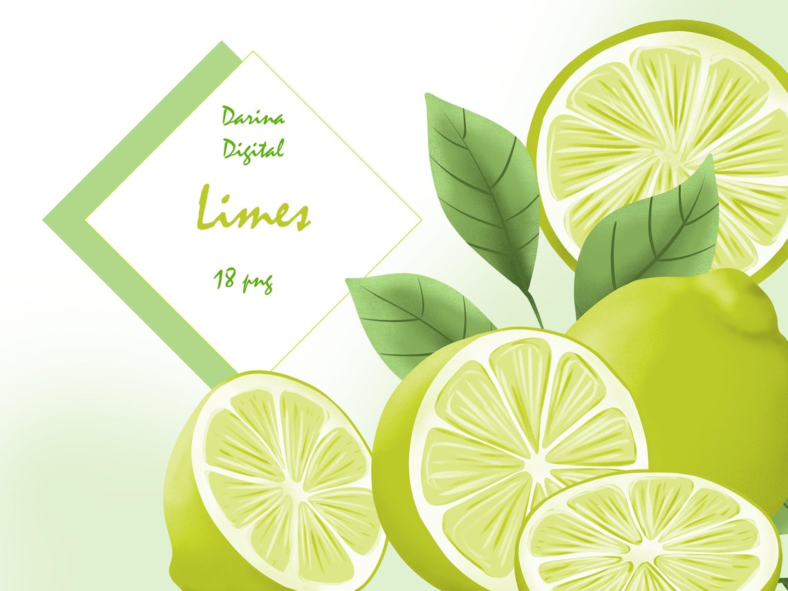 Lime Clipart Lime Illustration Green Lemon Clipart Fruit - Etsy