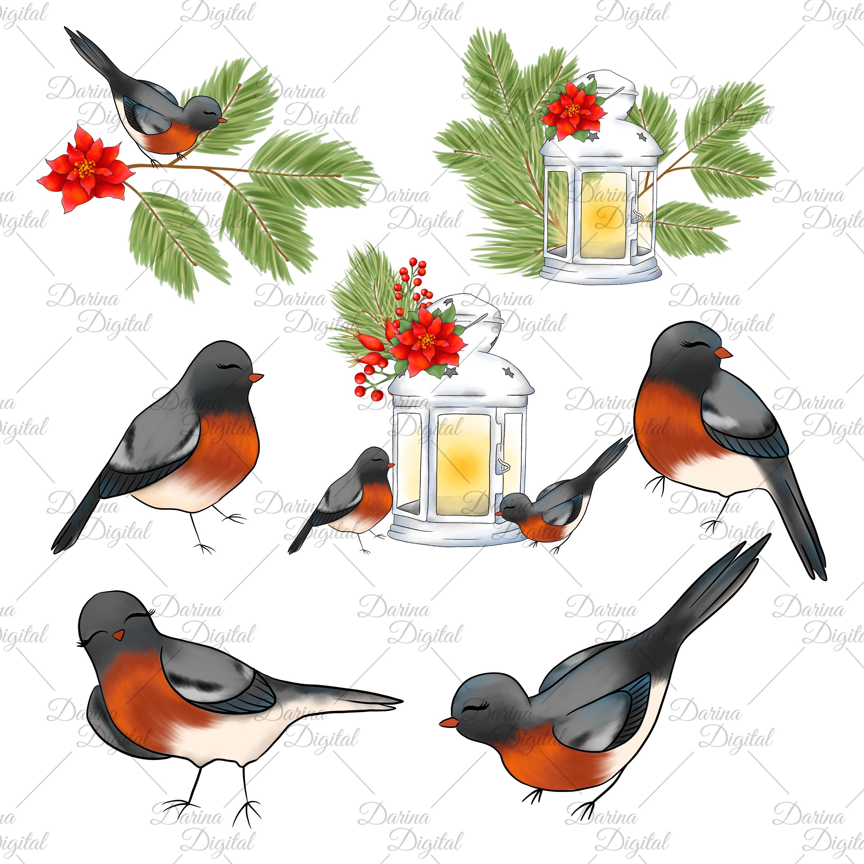 Bird Clipart Christmas Clipart Winter Clipart Christmas | Etsy