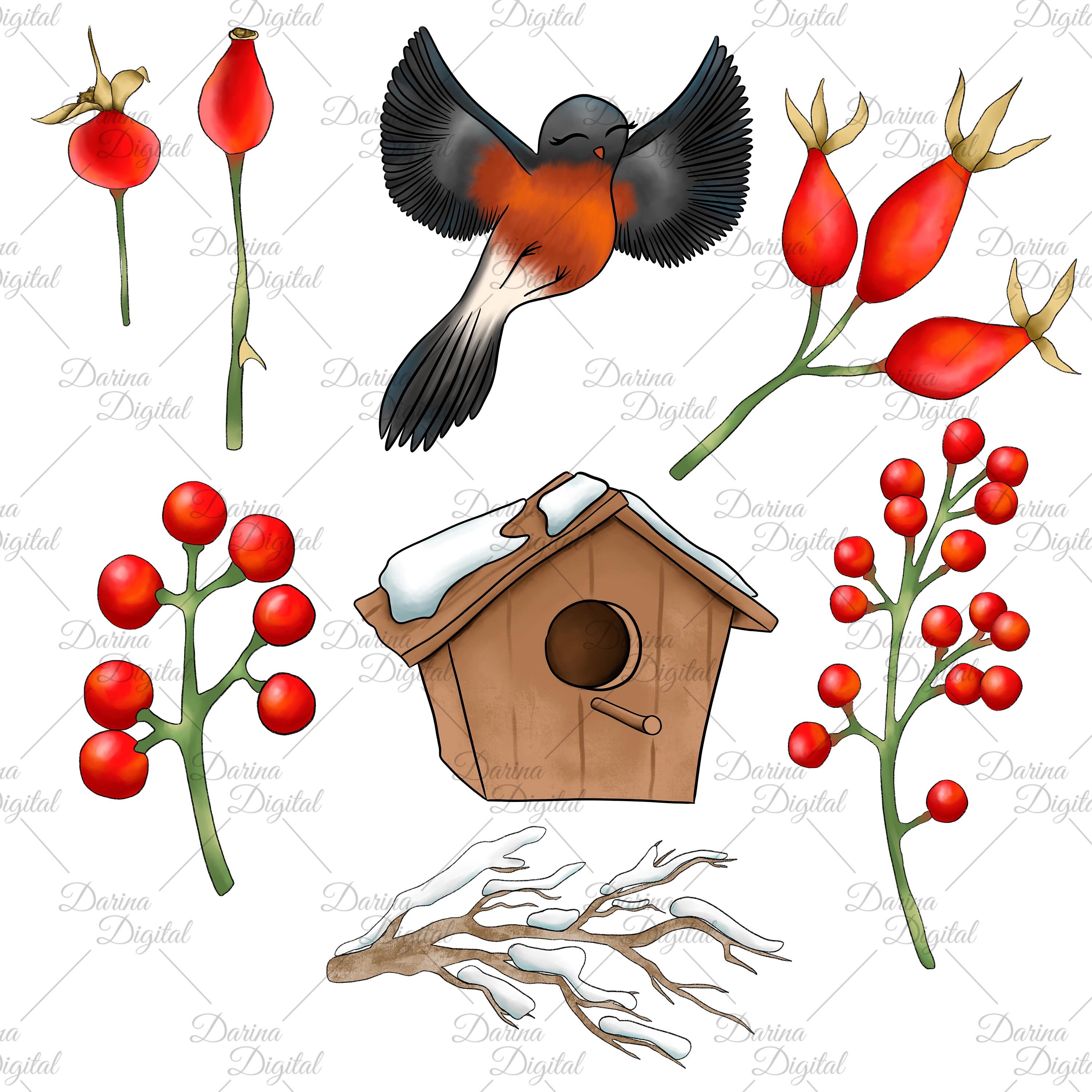 Bird Clipart Christmas Clipart Winter Clipart Christmas | Etsy