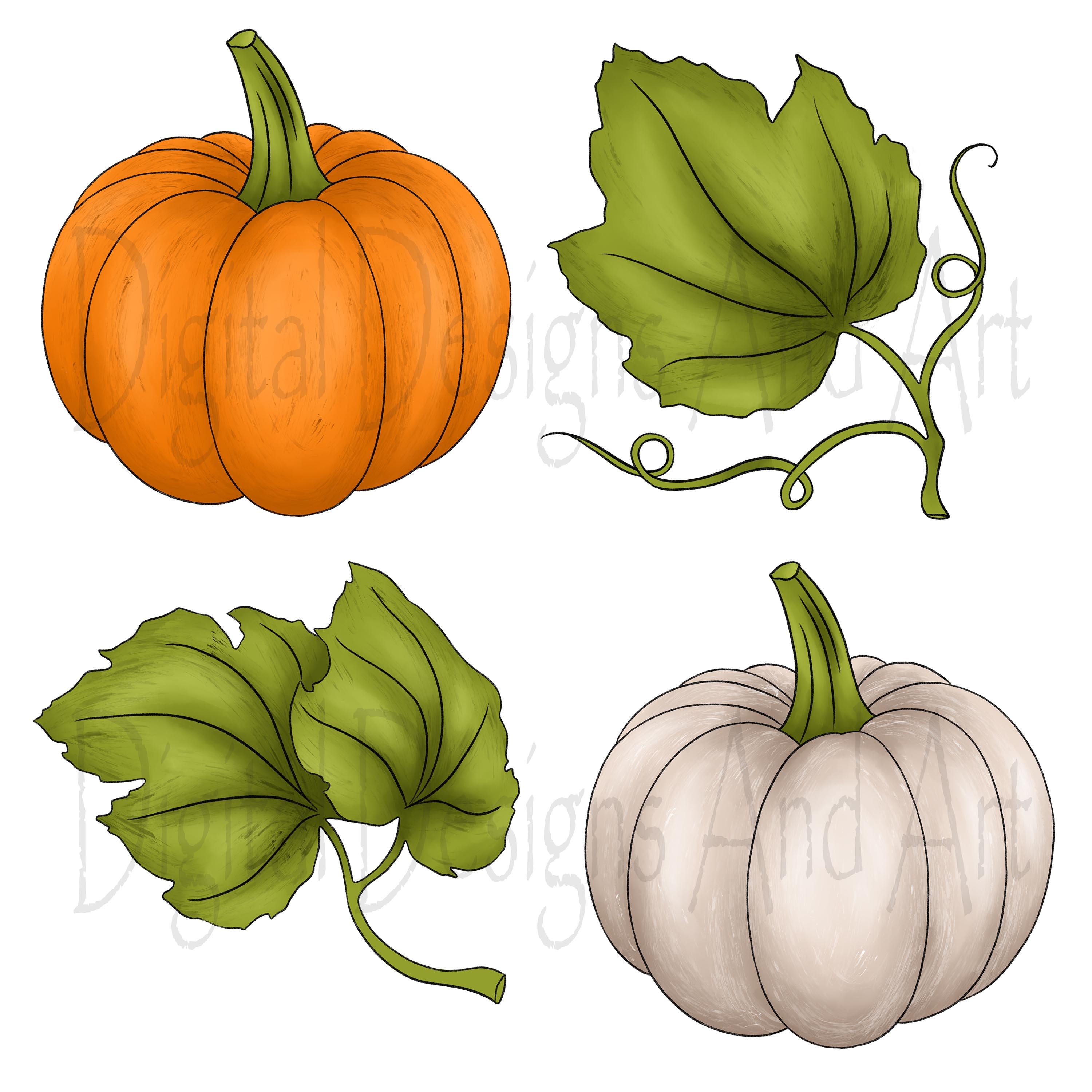 Pumpkin Leaf Clipart