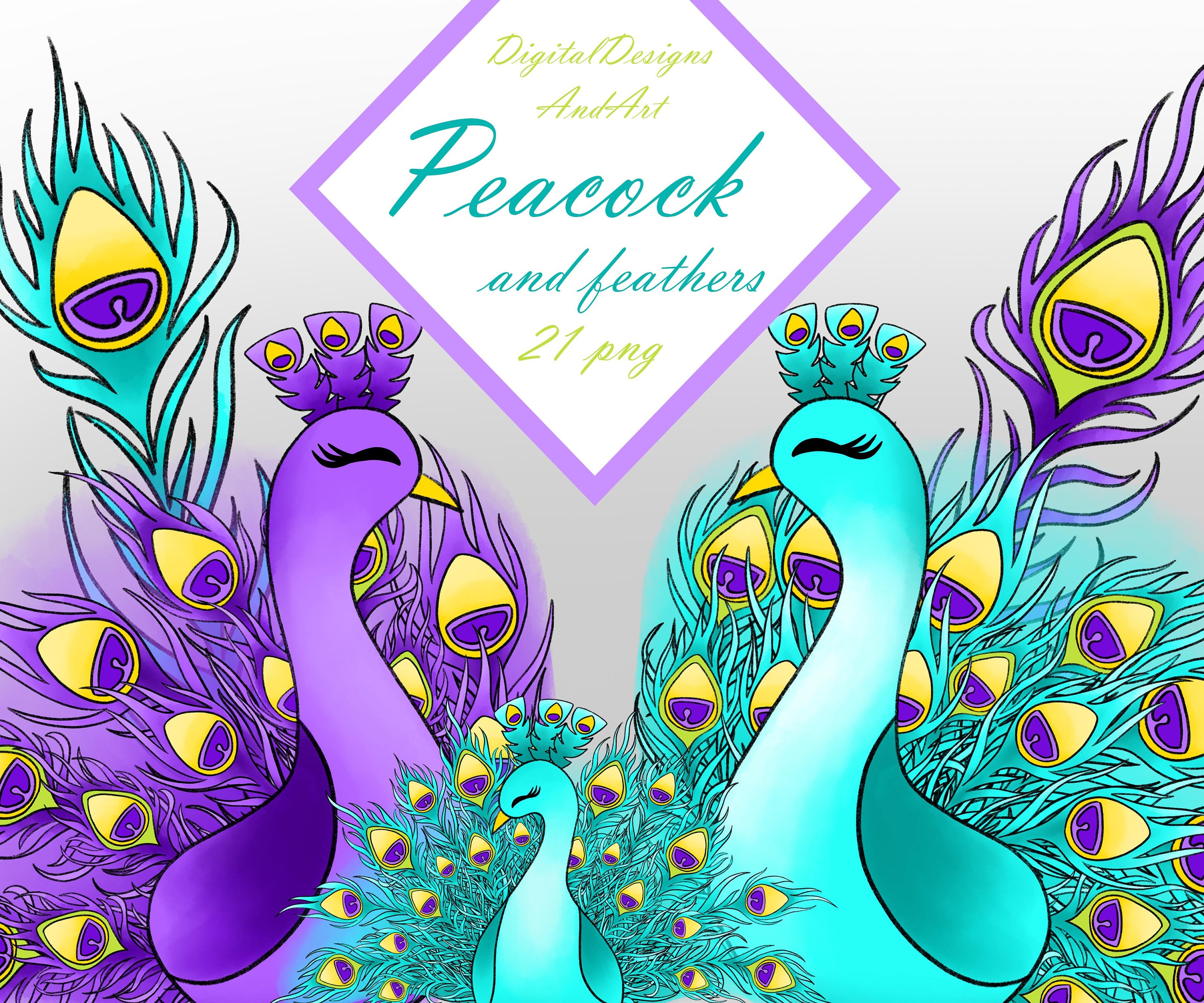 Peacock Clipart Peacock Illustration Peacock Feathers Bird - Etsy