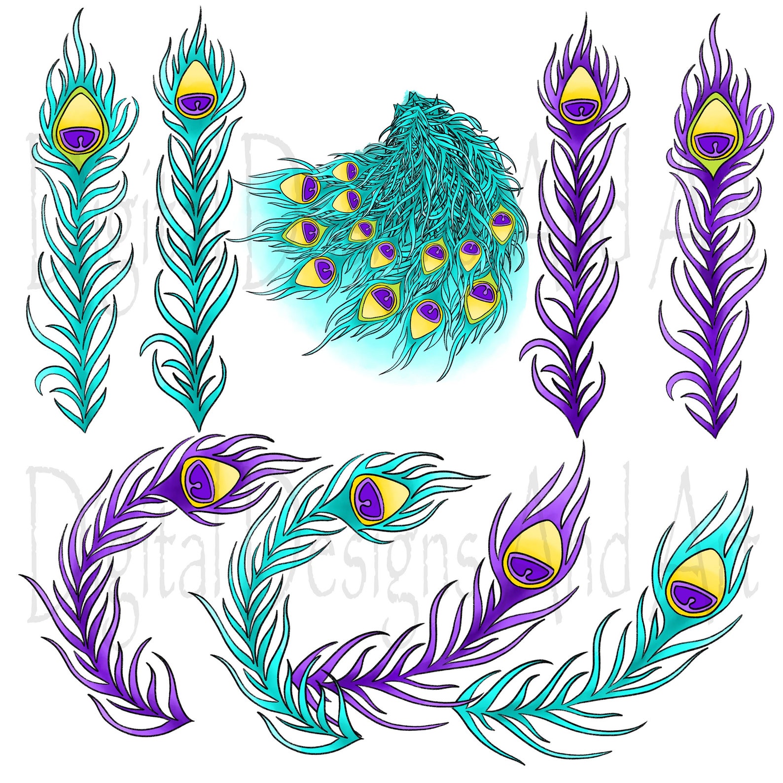 Peacock Clipart Peacock Illustration Peacock Feathers Bird - Etsy