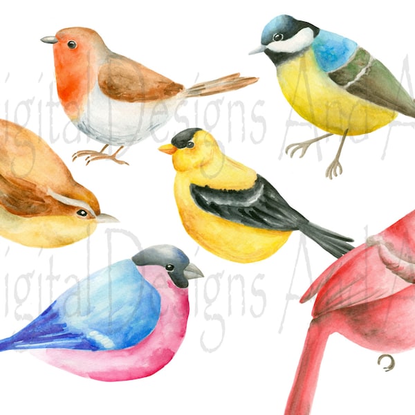 Colorful Bird Art - Etsy