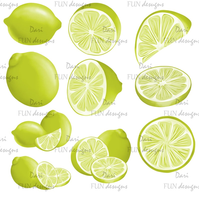 Lime Clipart Lime Illustration Green Lemon Clipart Fruit - Etsy