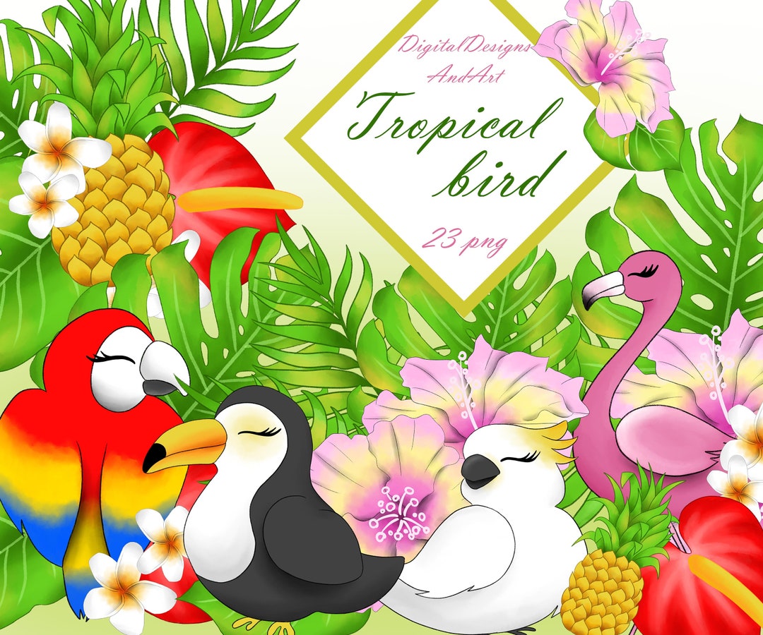 Tropical Birds Clipart, Tropical Clipart, Animal Clipart, Bird Clipart ...