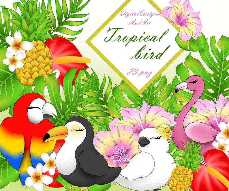 Tropical Birds Clipart Tropical Clipart Animal Clipart Bird - Etsy