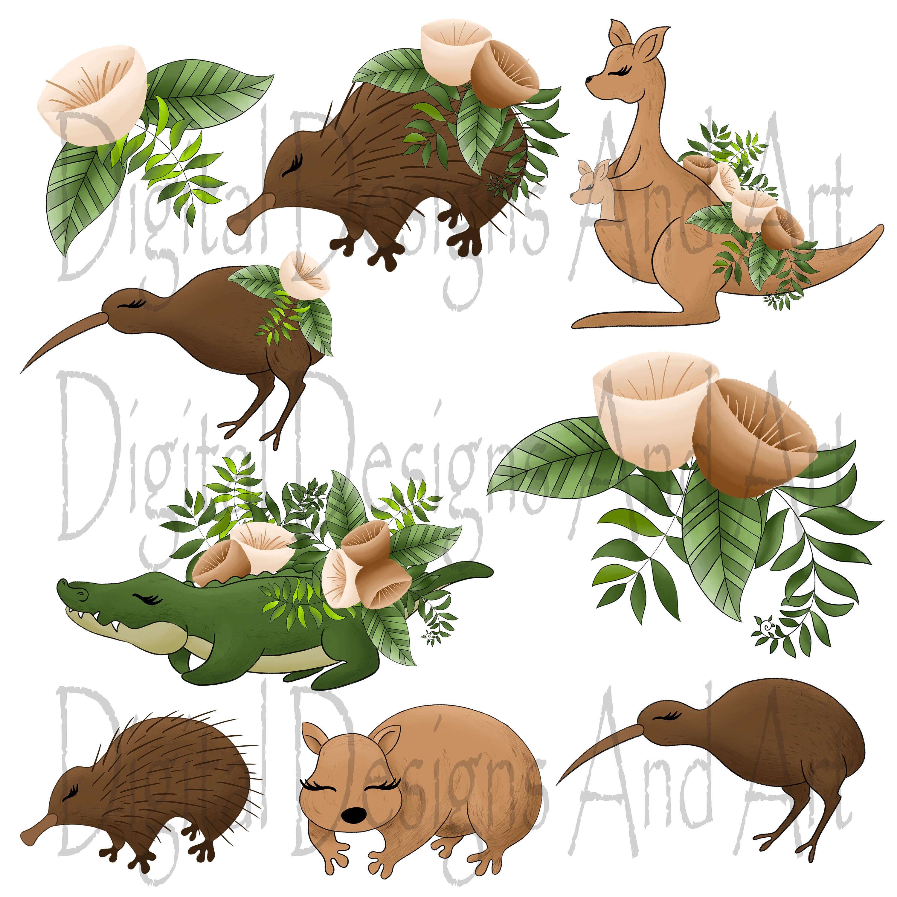 Australia Animals Clipart Australia Clipart Australia | Etsy