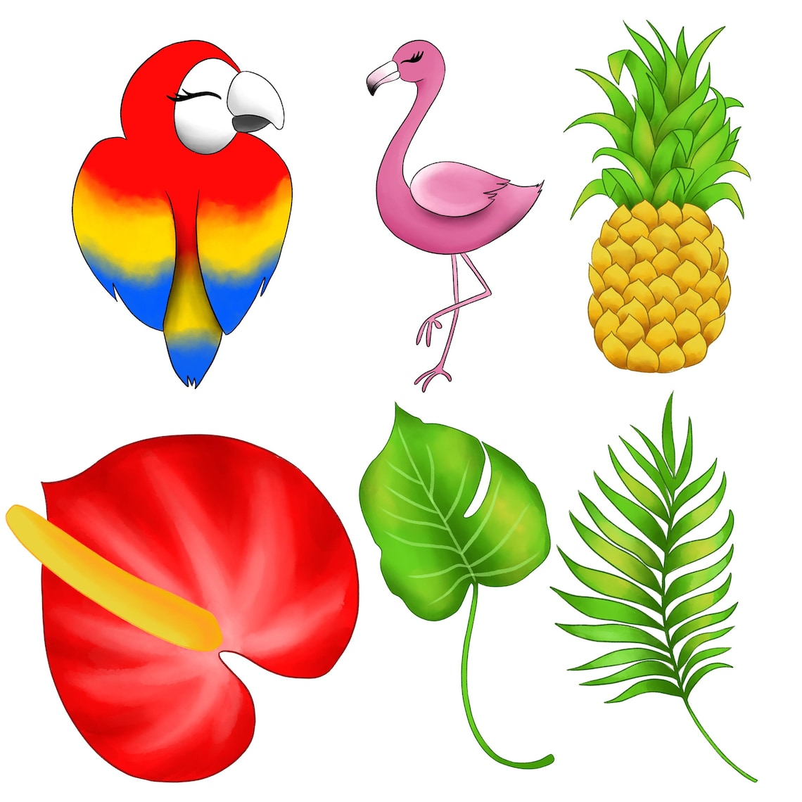 Tropical Birds Clipart Tropical Clipart Animal Clipart Bird | Etsy