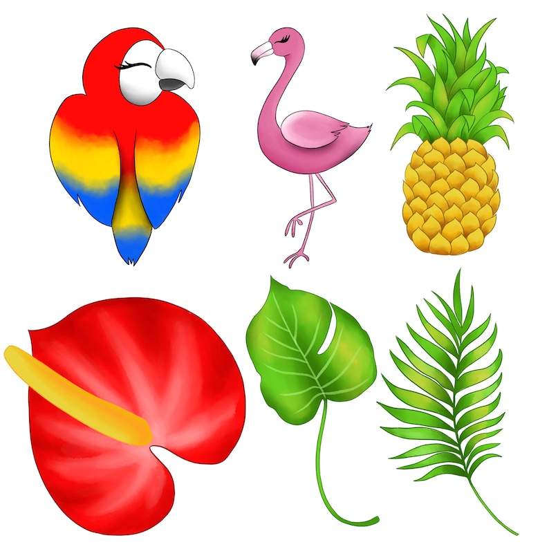Tropical Birds Clipart Tropical Clipart Animal Clipart Bird - Etsy