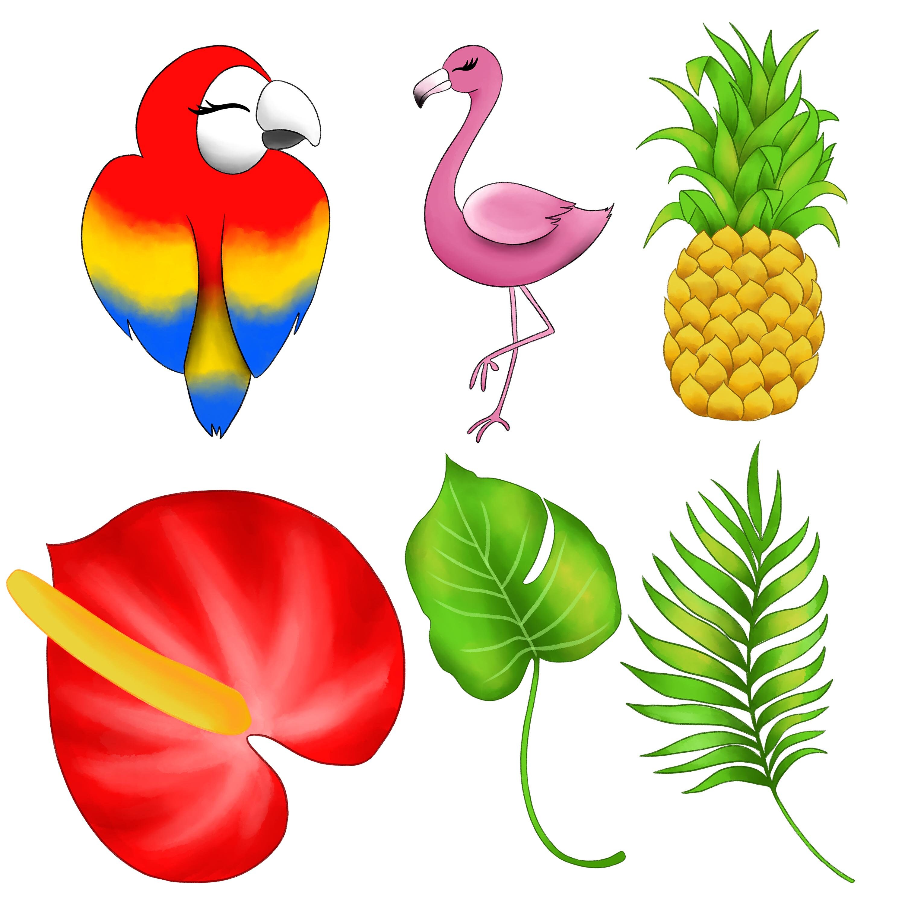 Tropical Birds Clipart Tropical Clipart Animal Clipart Bird | Etsy