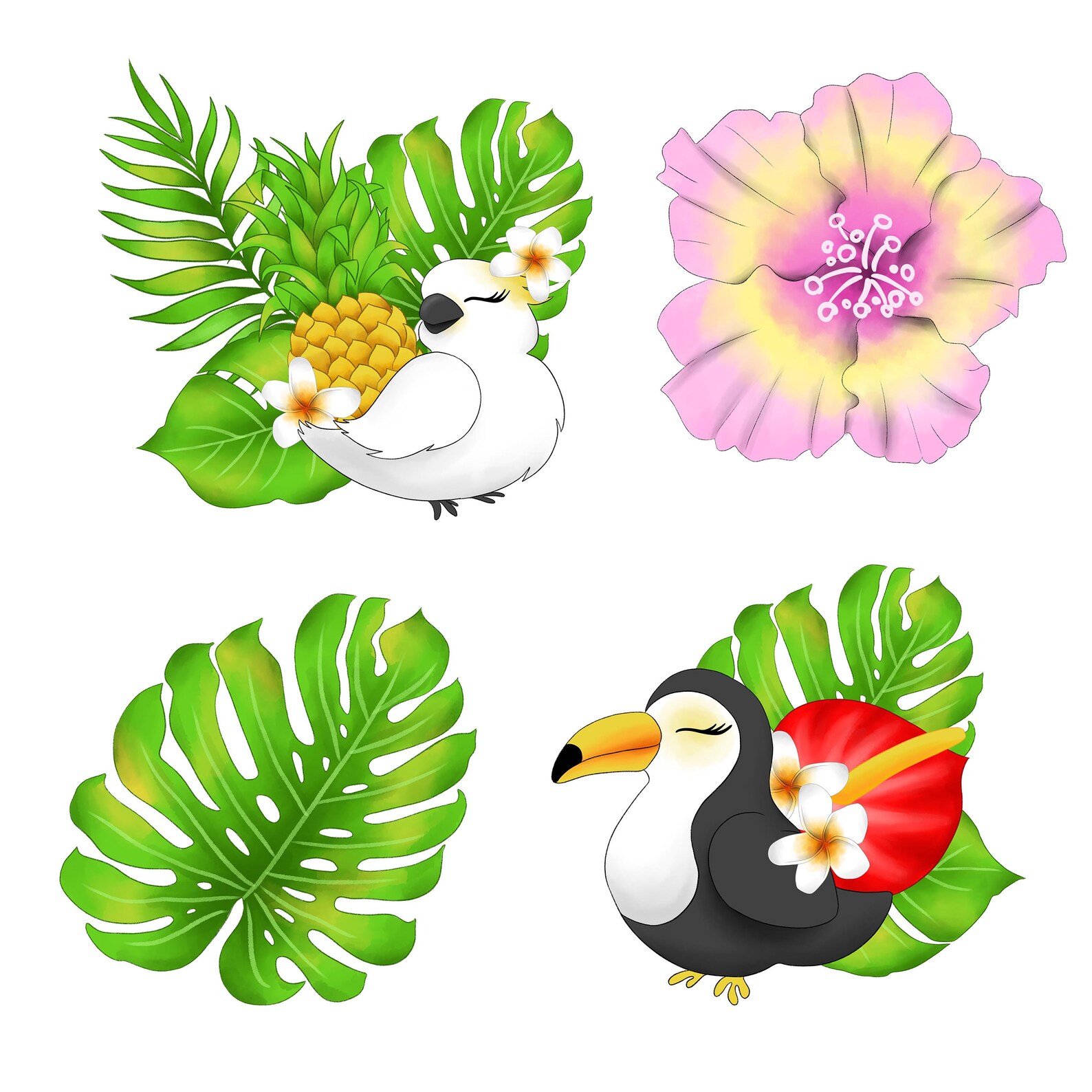 Tropical Birds Clipart Tropical Clipart Animal Clipart Bird - Etsy