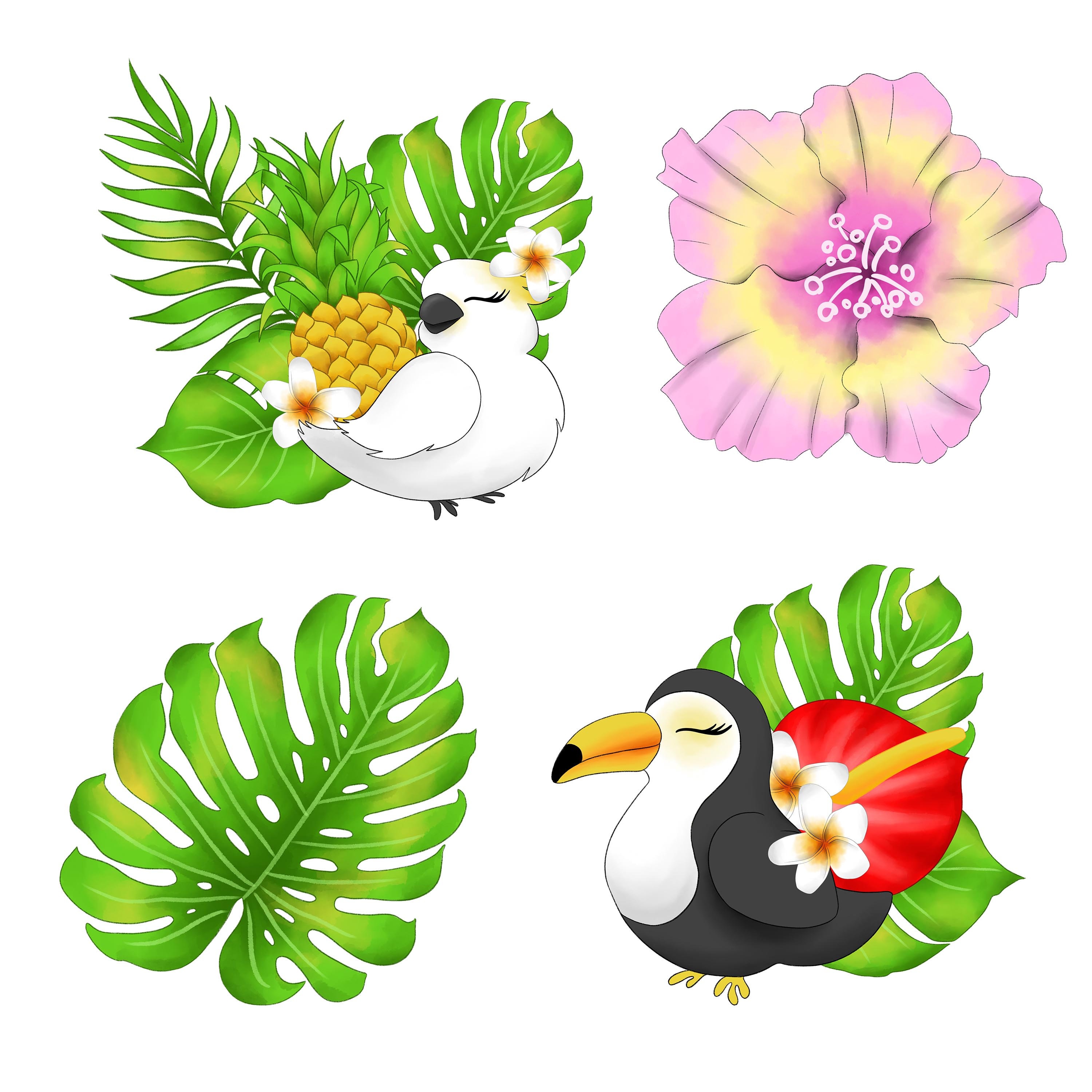 Tropical Birds Clipart Tropical Clipart Animal Clipart Bird | Etsy