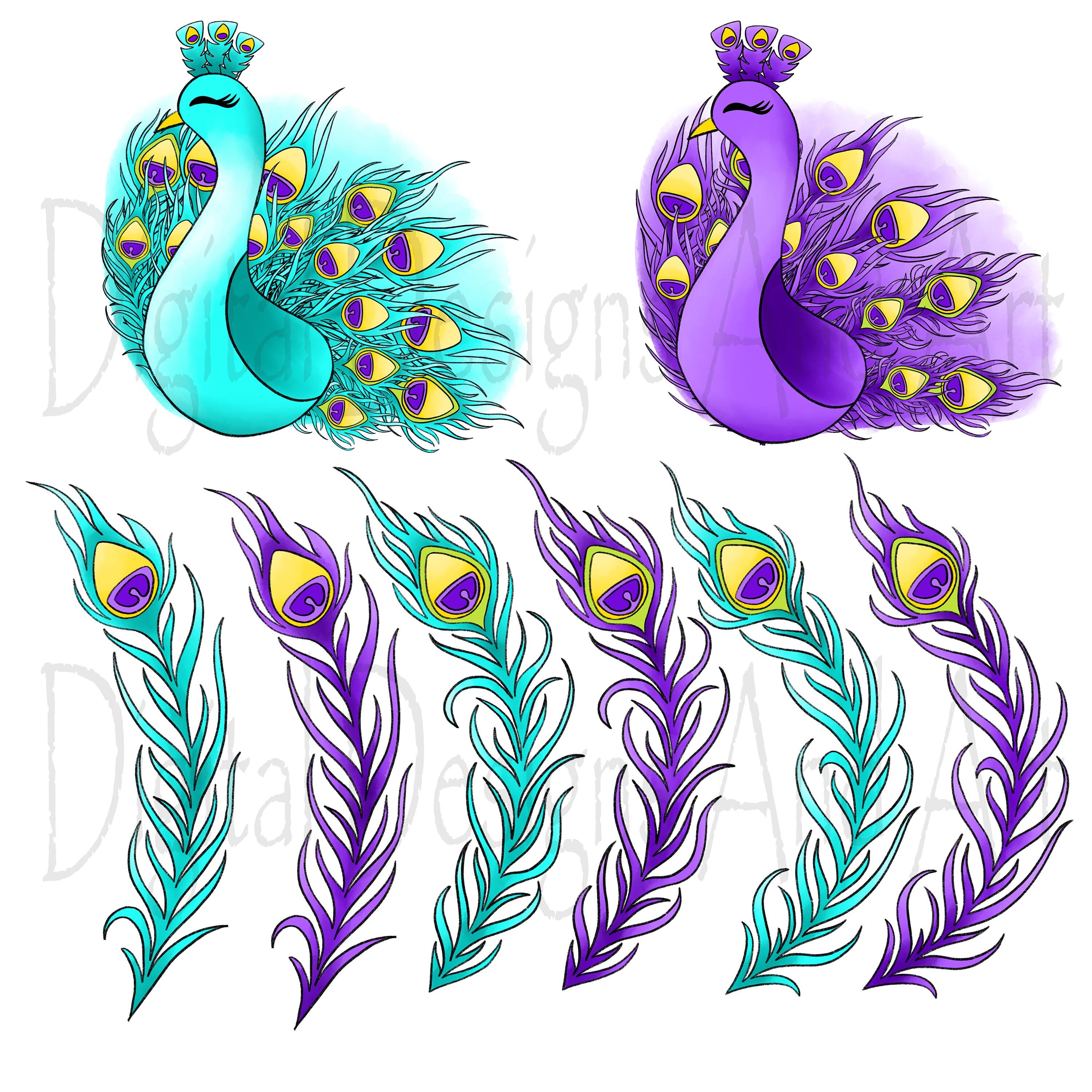 Peacock Clipart Peacock Illustration Peacock Feathers Bird - Etsy