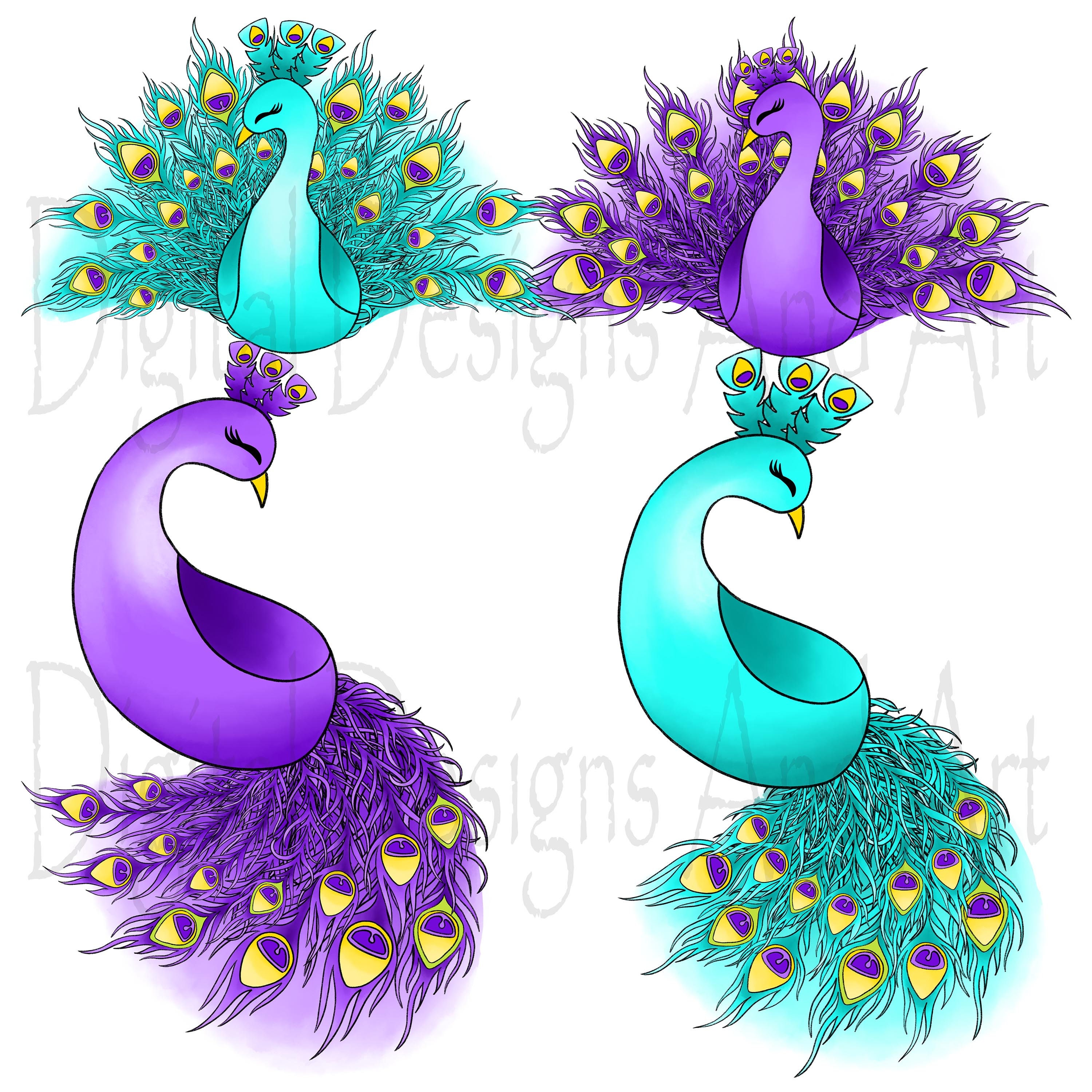 Peacock Clipart Peacock Illustration Peacock Feathers Bird - Etsy
