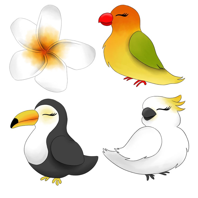 Tropical Birds Clipart Tropical Clipart Animal Clipart Bird - Etsy