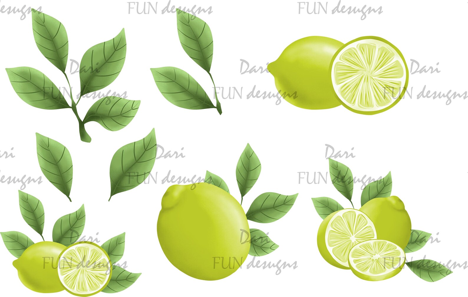Lime Clipart Lime Illustration Green Lemon Clipart Fruit - Etsy