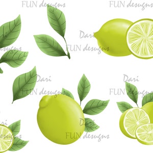 Lime Clipart, Lime Illustration, Green Lemon Clipart, Fruit Clipart ...