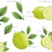 Lime Clipart, Lime Illustration, Green Lemon Clipart, Fruit Clipart ...