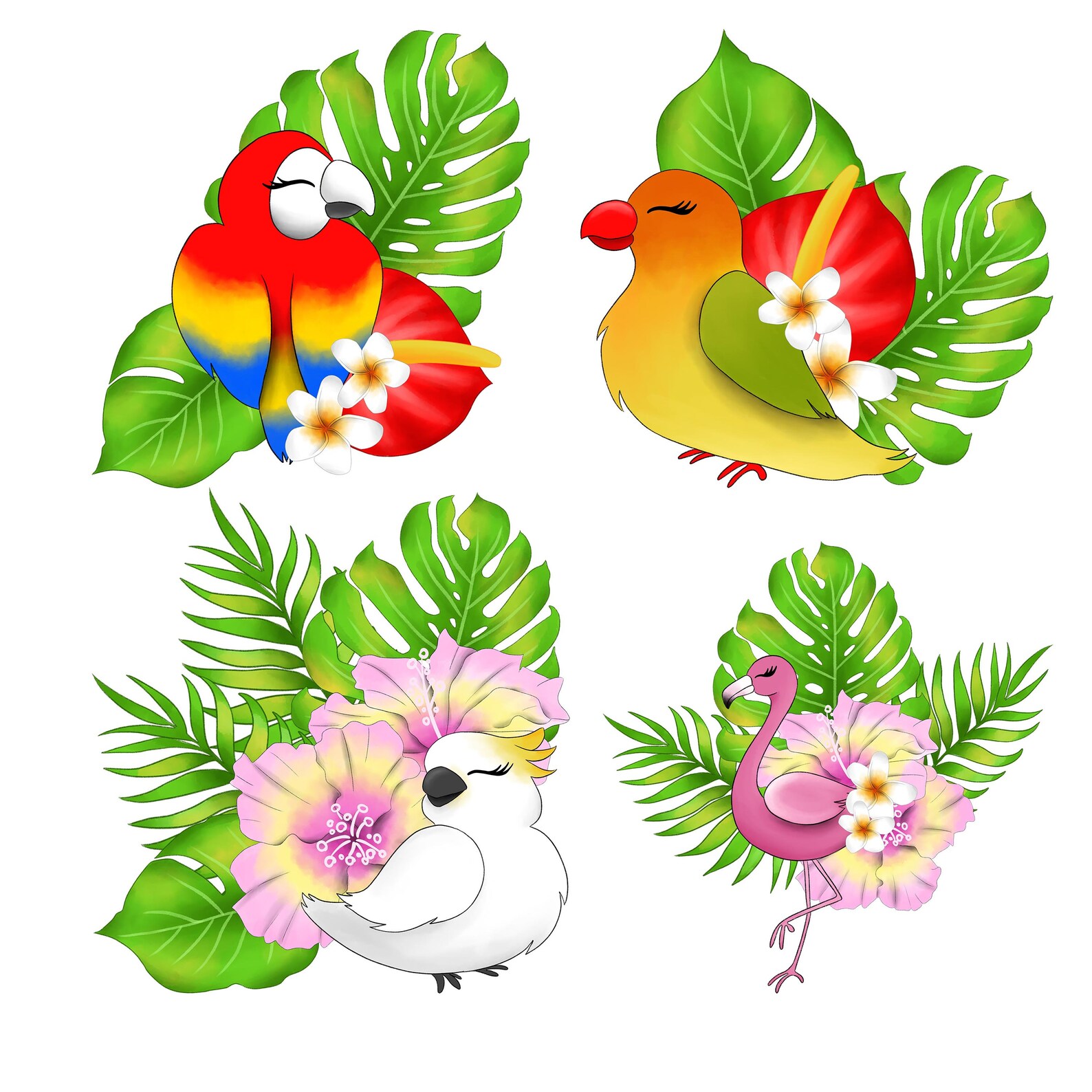 Tropical Birds Clipart Tropical Clipart Animal Clipart Bird - Etsy