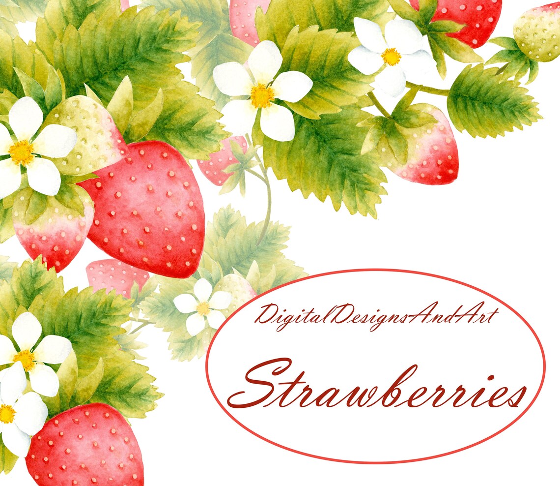 Watercolor Strawberry Clipart Strawberry Illustraion - Etsy