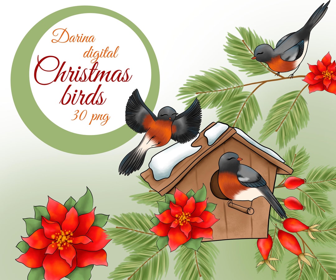 Bird Clipart, Christmas Clipart, Winter Clipart, Christmas Lanterns ...