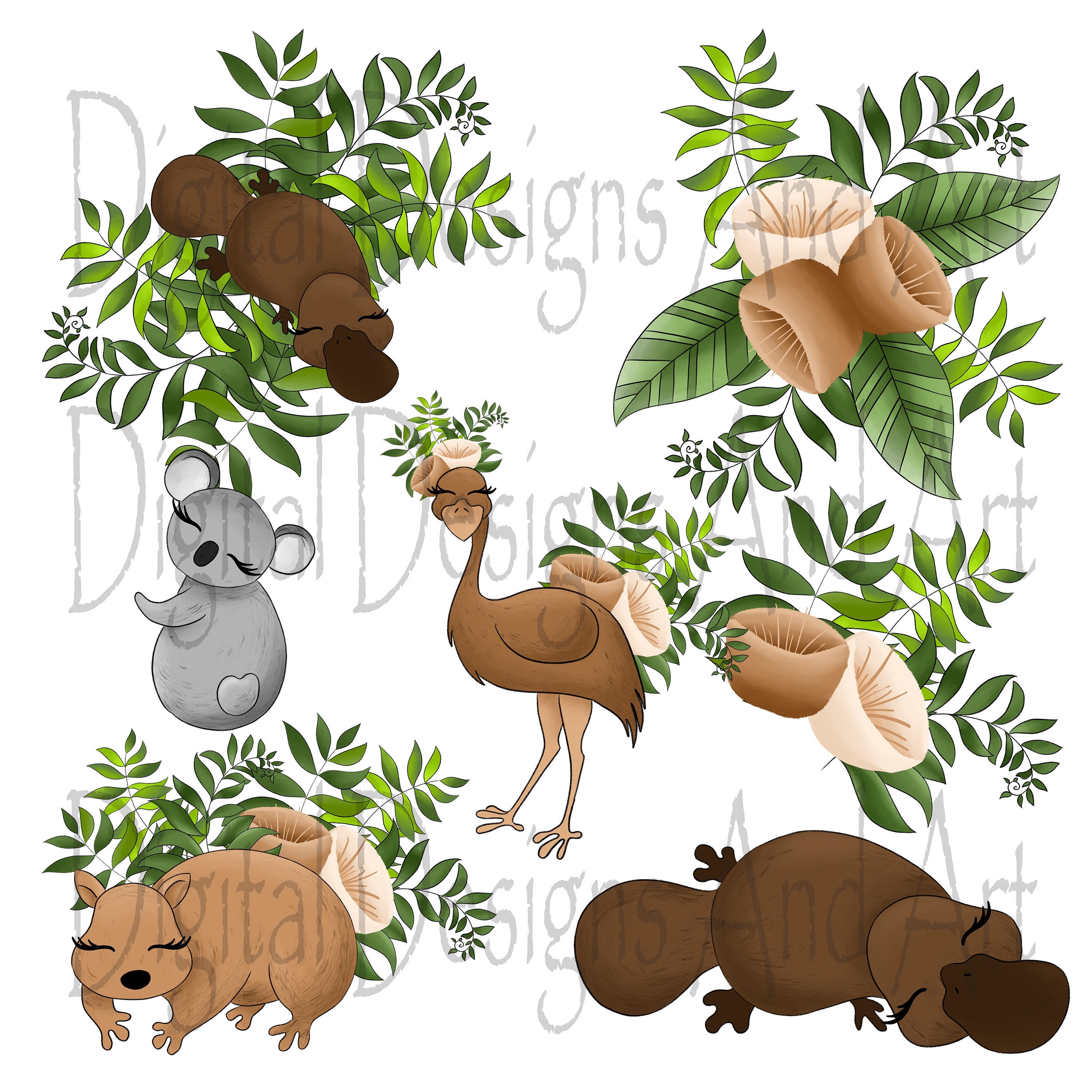 Australia Animals Clipart Australia Clipart Australia | Etsy