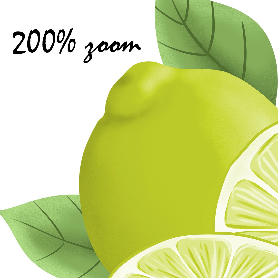 Lime Clipart Lime Illustration Green Lemon Clipart Fruit | Etsy