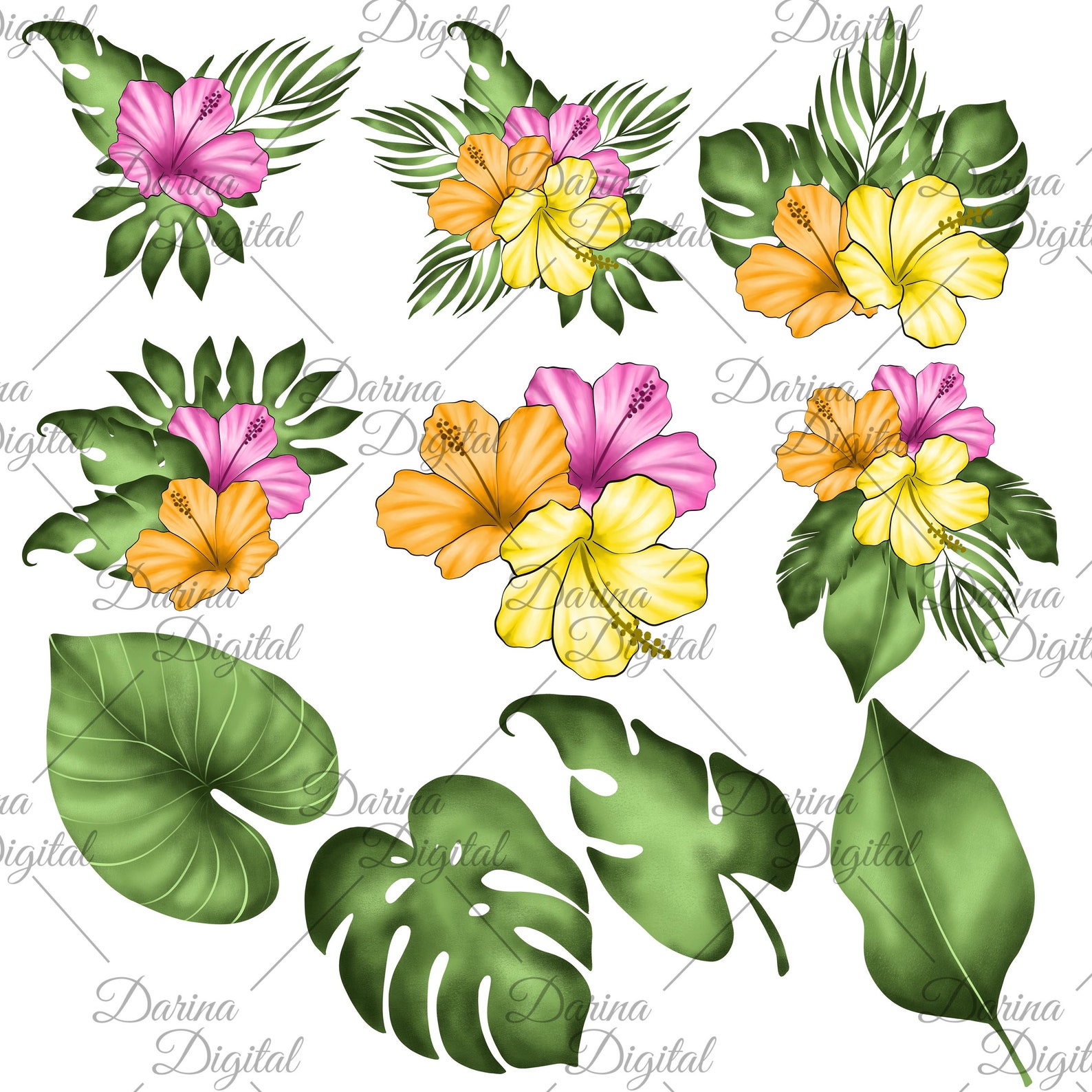 Tropical Flowers Clipart Flowers Clipart Hibiscus Clipart - Etsy Canada